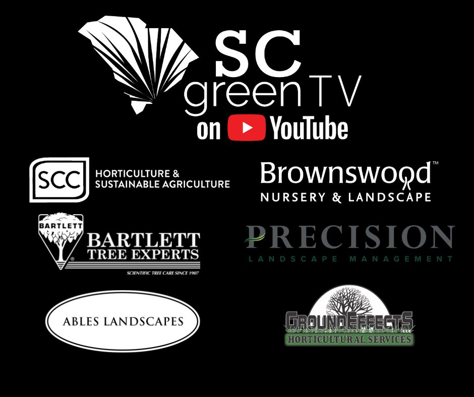 The Vision Behind SCGreenTV - SC Green
