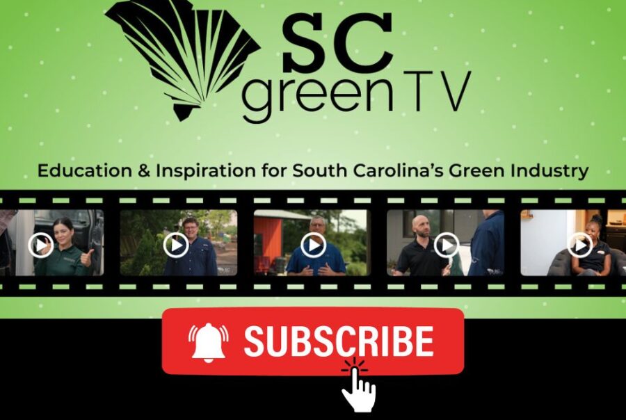 SG Green TV - SC Green